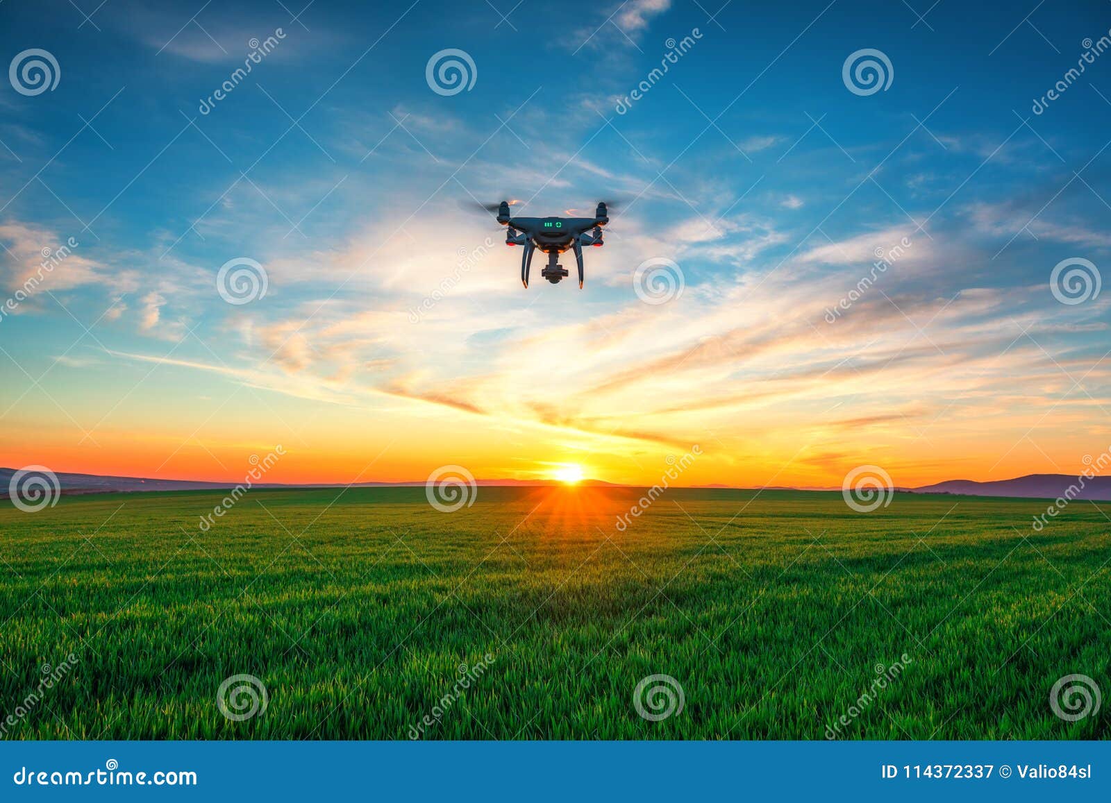 Drone Field Of Green Tree Canopy And Forest Praslin, Seychelles Royalty ...