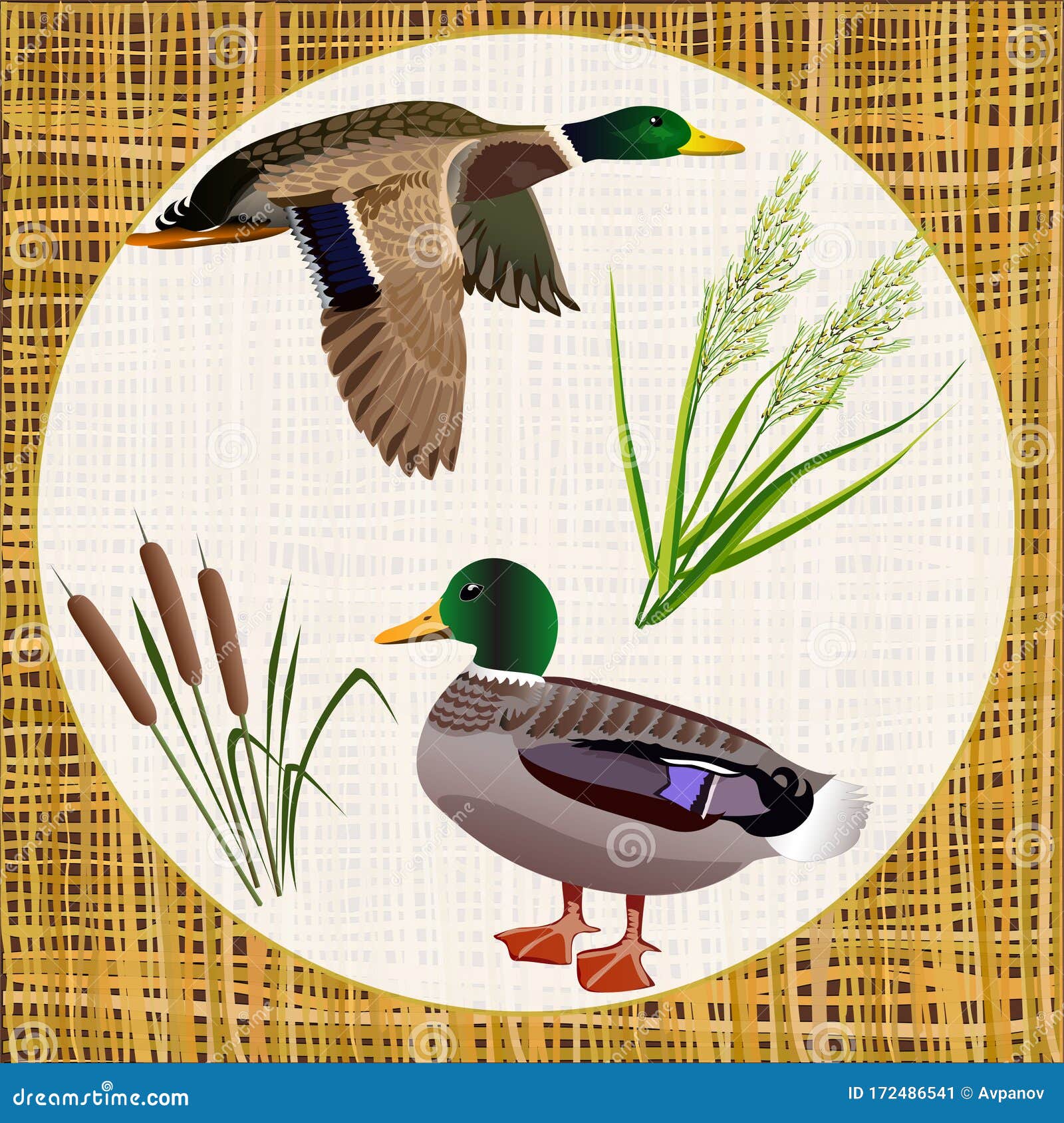Pair Ducks and Marsh Vegetation on Background of Mats Stock Vector ...