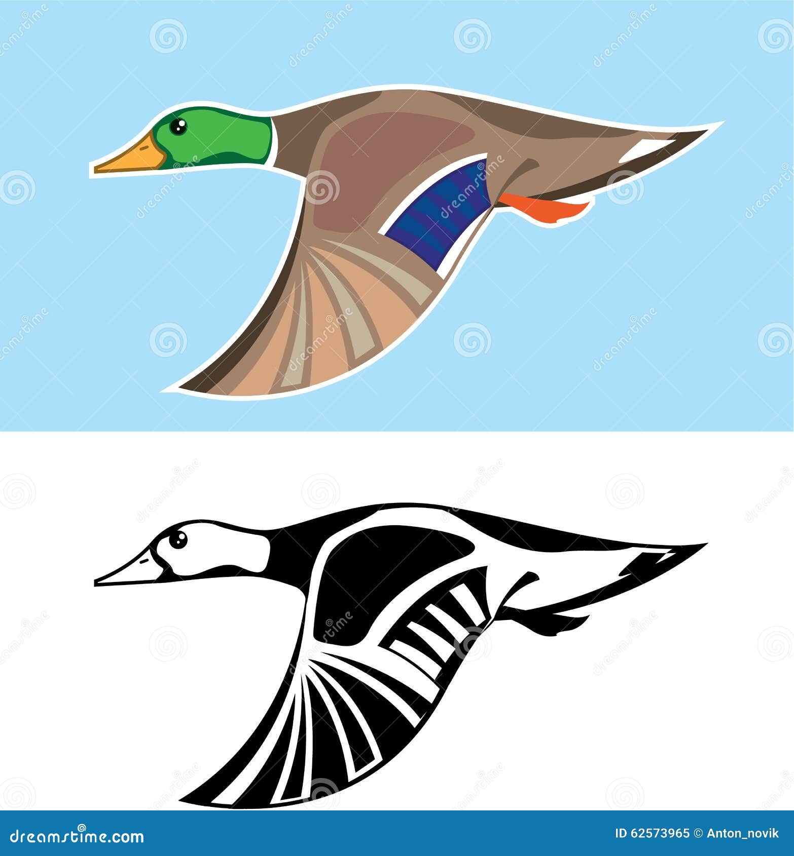 Flying Duck Vector Illustration Stock Vector - Illustration of wild ...