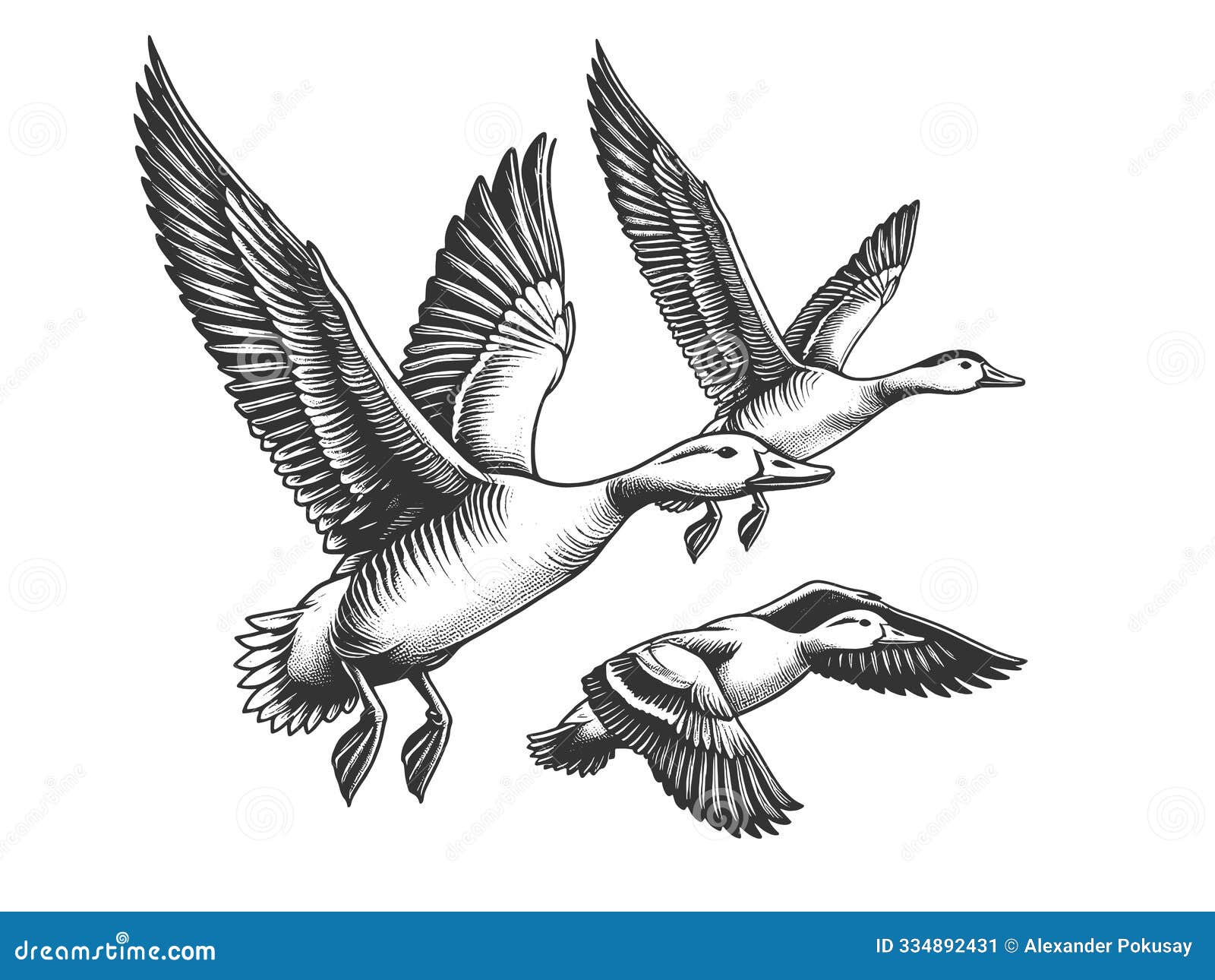 Flying Ducks in Formation Vector Illustration Stock Illustration ...