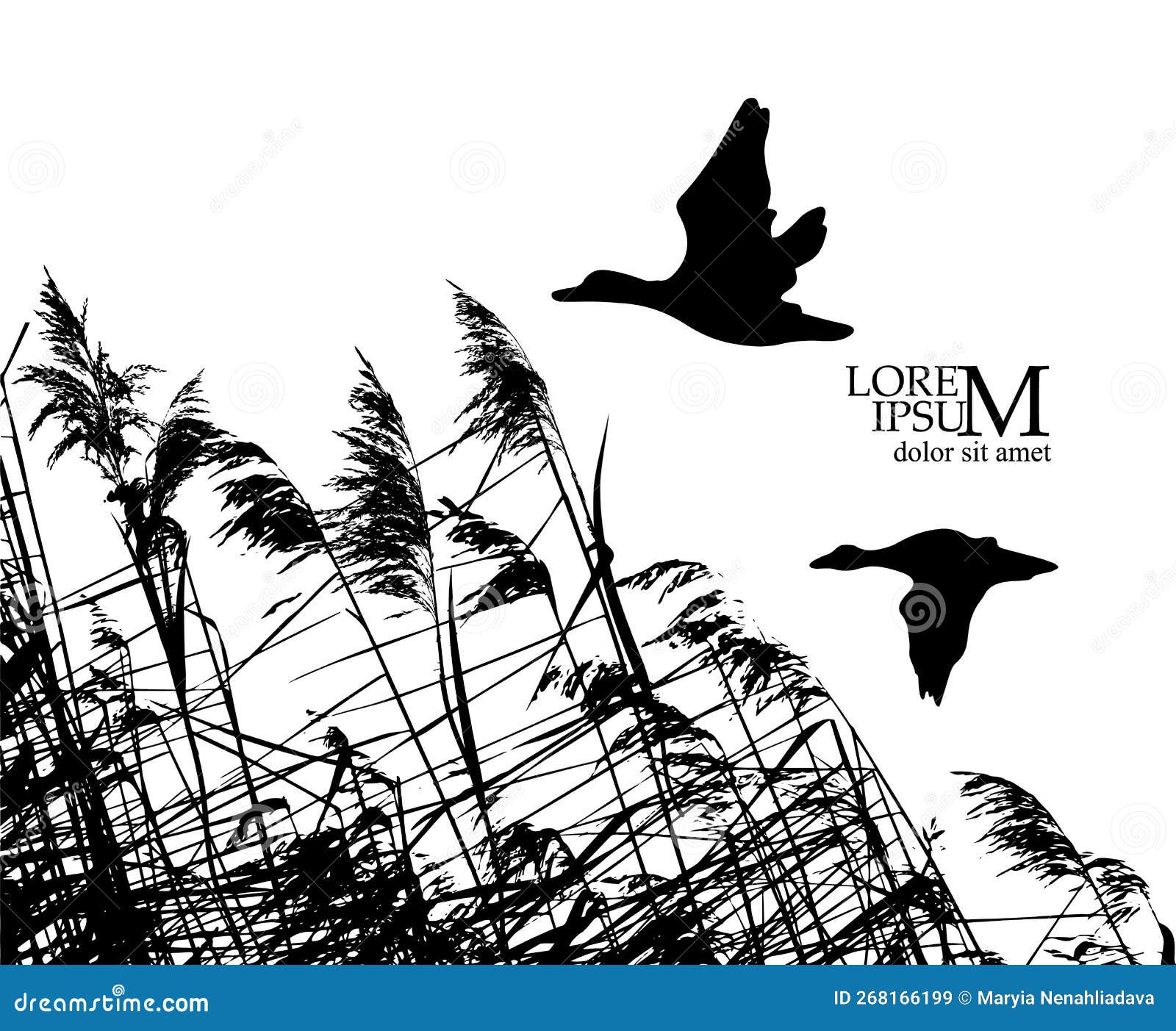 Flying Ducks and Reeds. Vector Illustration Stock Vector - Illustration ...