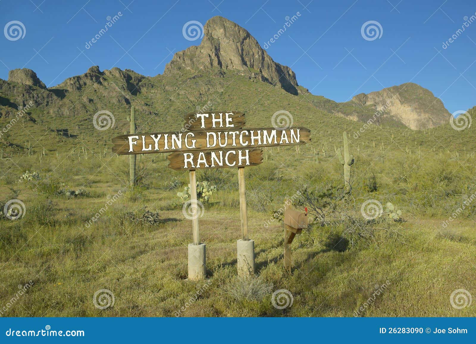 Flying Dutchman Tent Trailer Camper Logo In The Forest For Summer ...