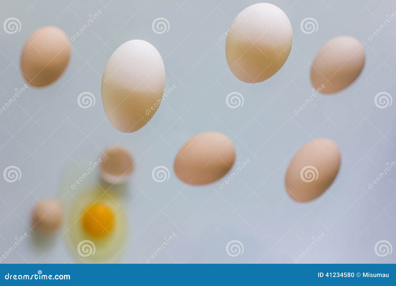 Flying eggs stock photo. Image of eggs, closeup, animal - 41234580