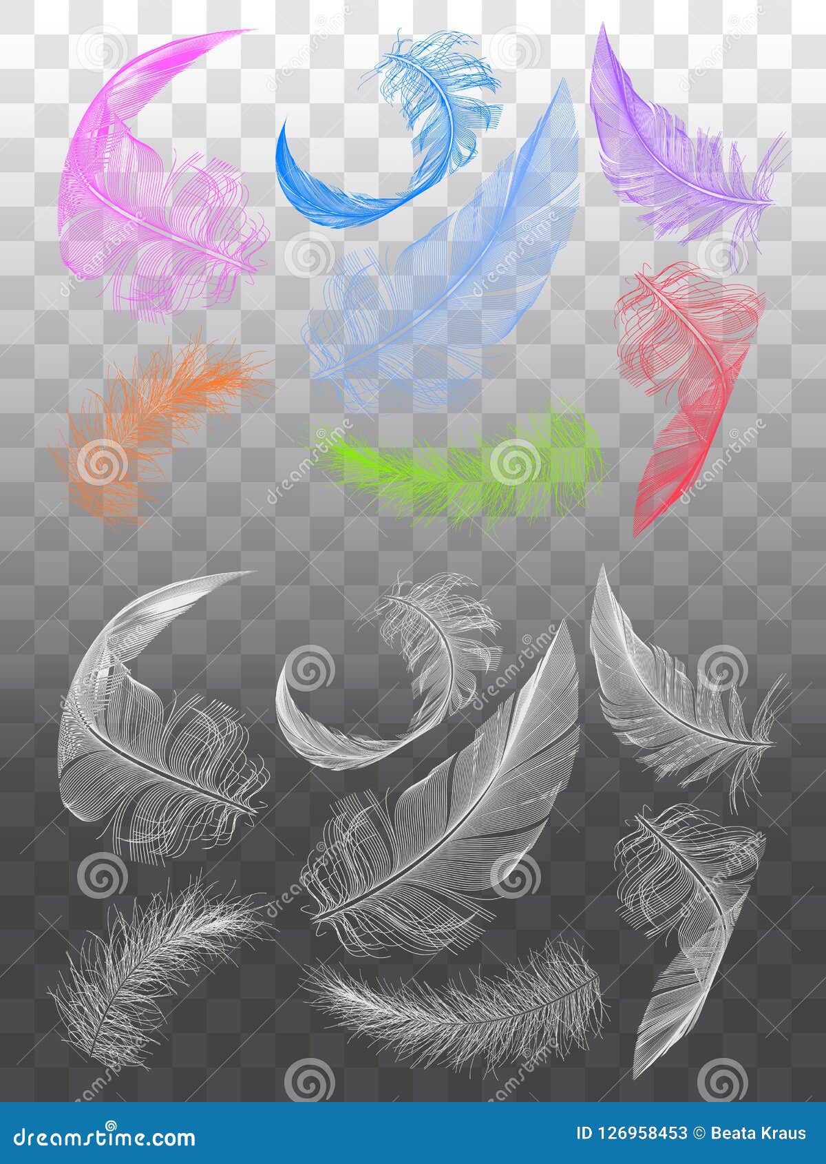 Flying Feathers, Set of Vector Graphic Design Elements Stock Vector ...