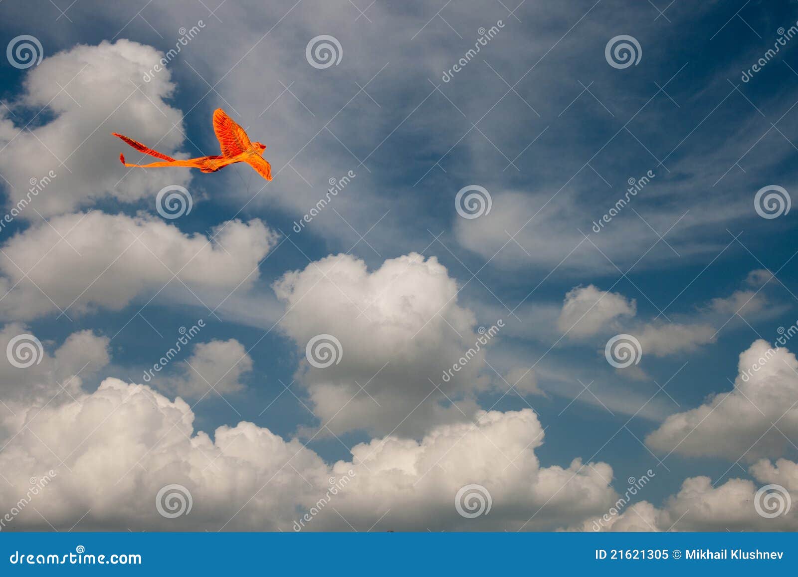 Flying the Firebird stock image. Image of phoenix, bird - 21621305