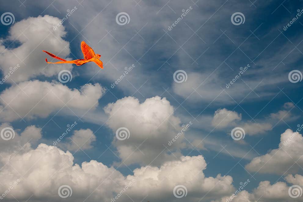 Flying the Firebird stock image. Image of phoenix, bird - 21621305