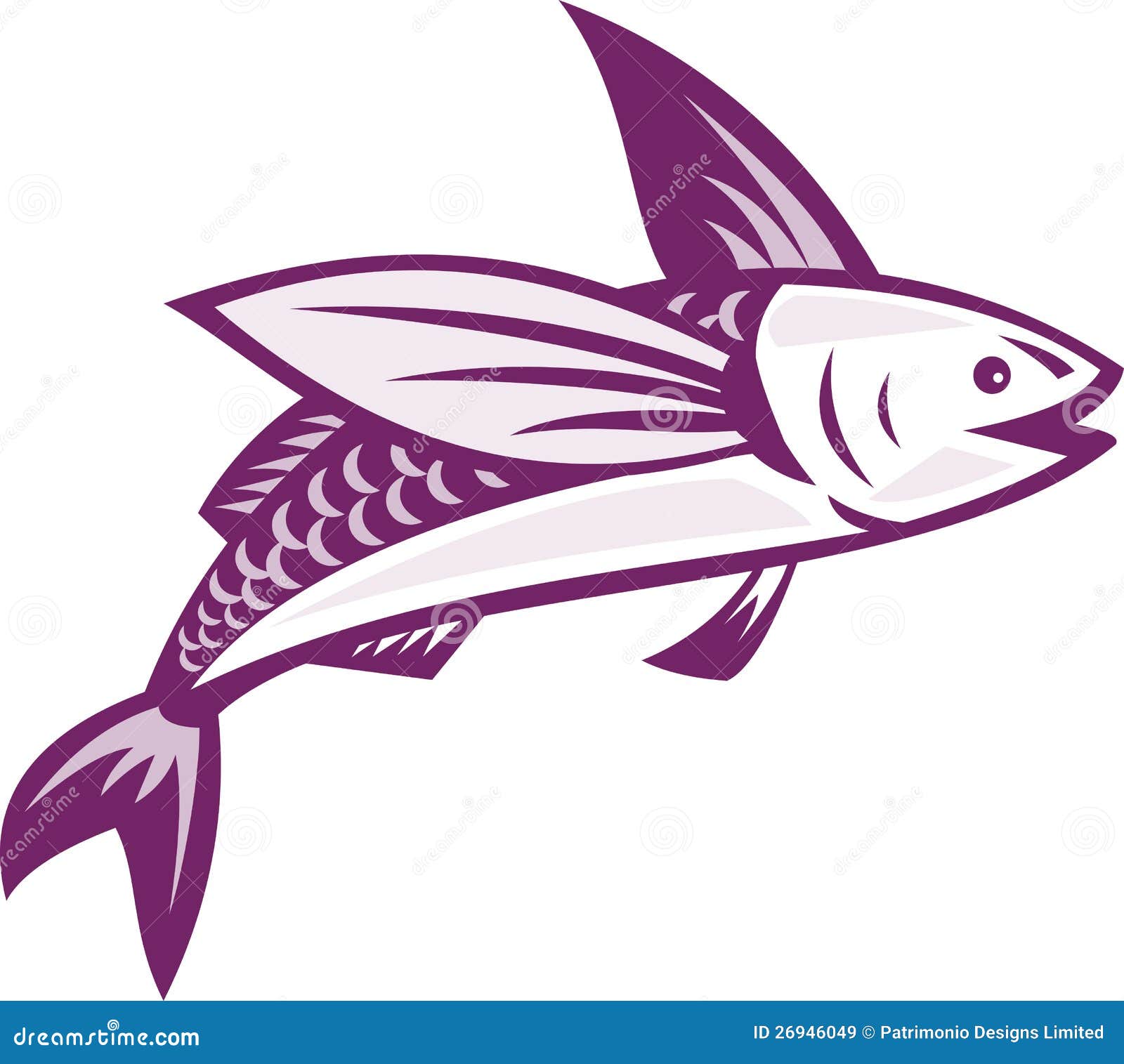 Flying Fish Drawing Cartoon Vector | CartoonDealer.com #76127765