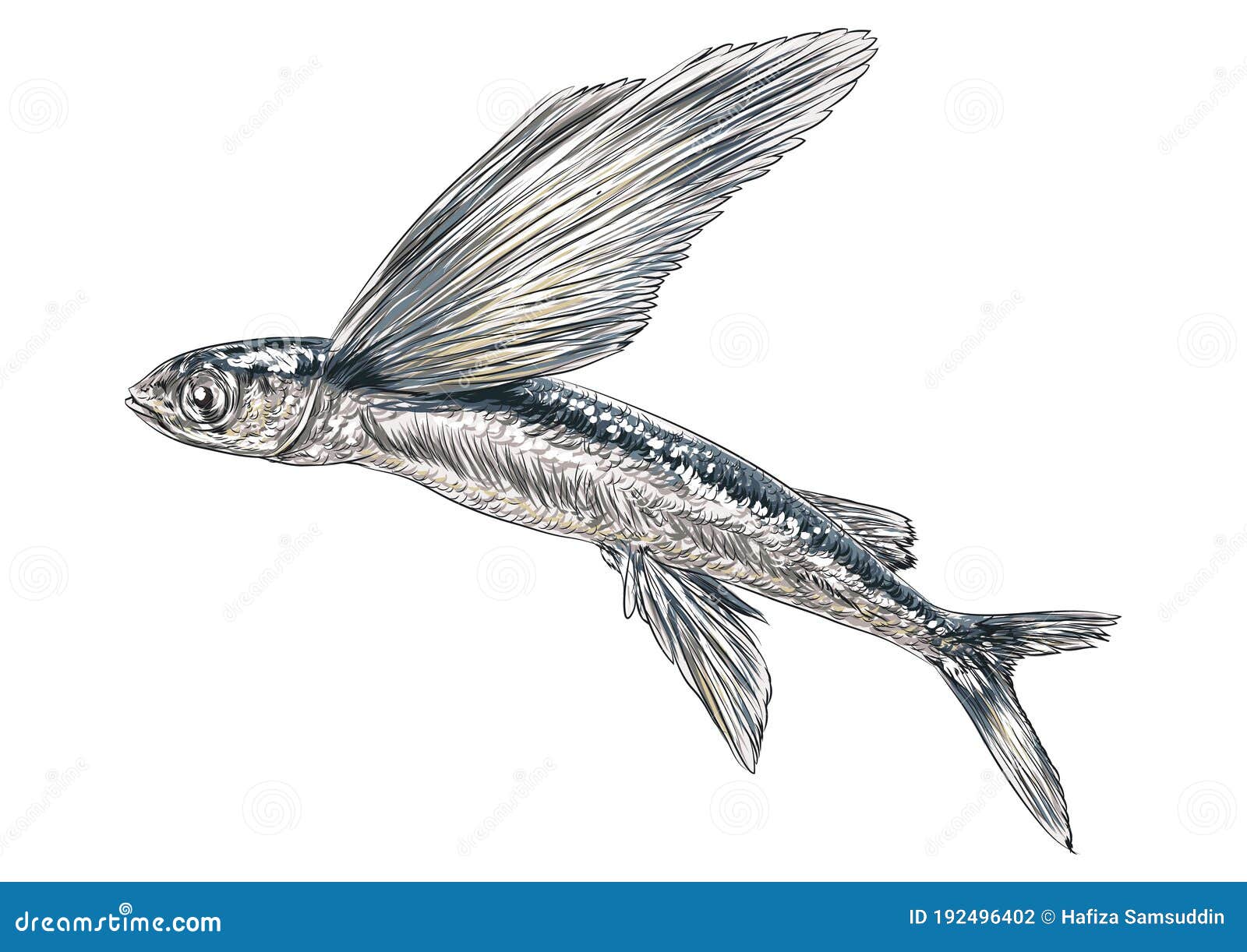 Flying Fish. Vector Illustration Decorative Design Stock Vector ...