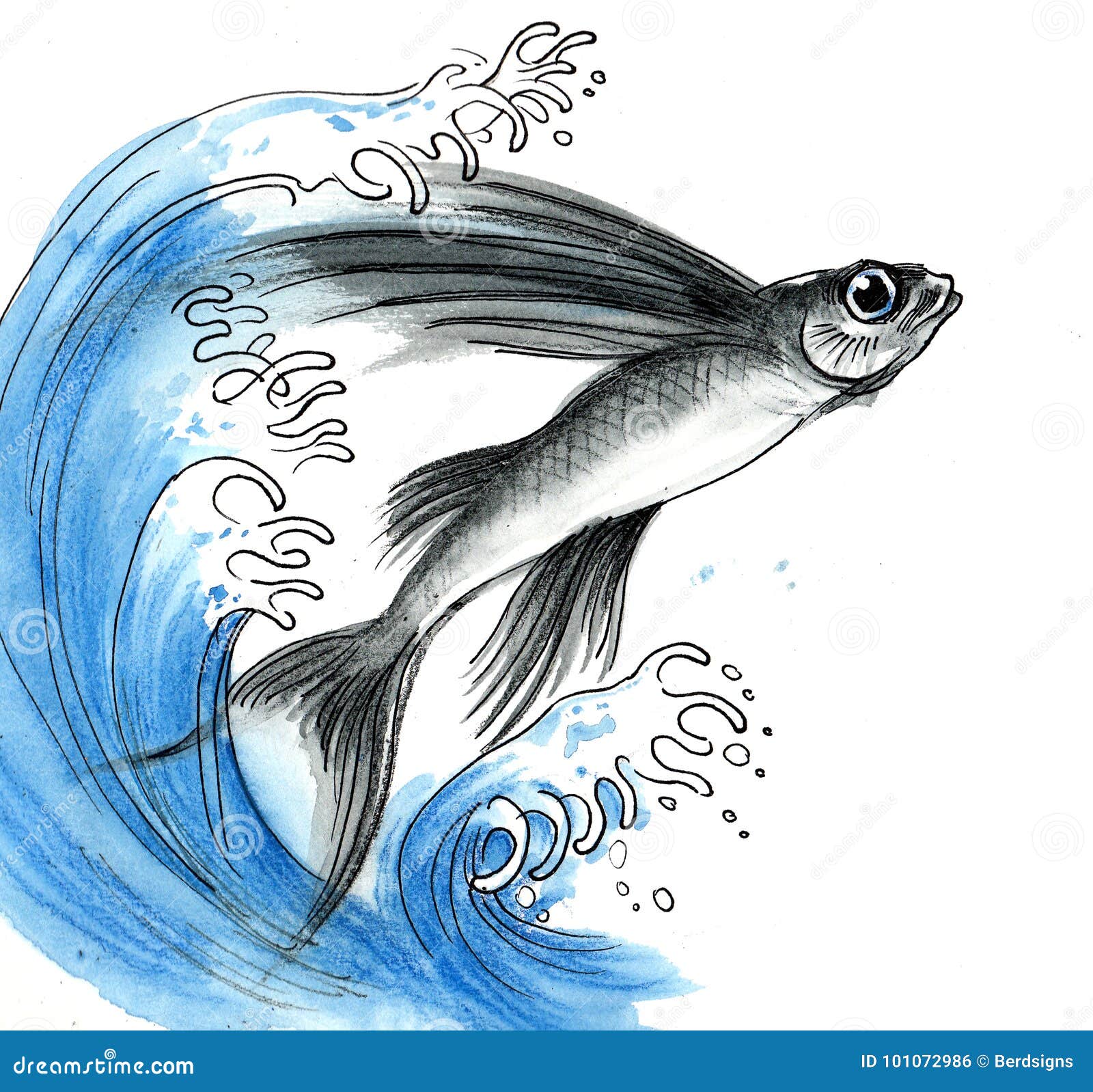 Flying fish stock illustration. Illustration of ocean - 101072986