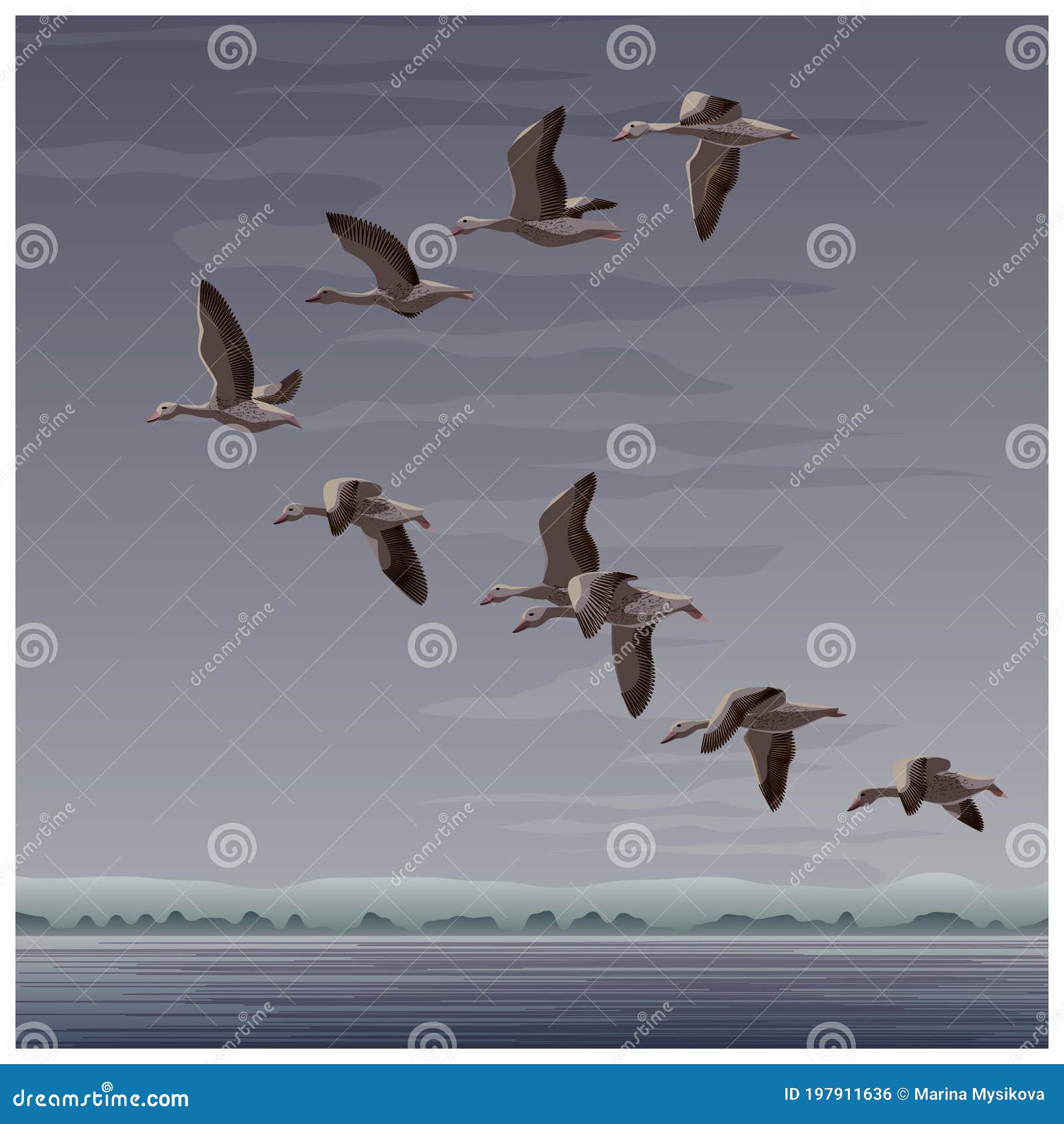 A Flying Flock Of Ducks Vector Illustration | CartoonDealer.com #197911636