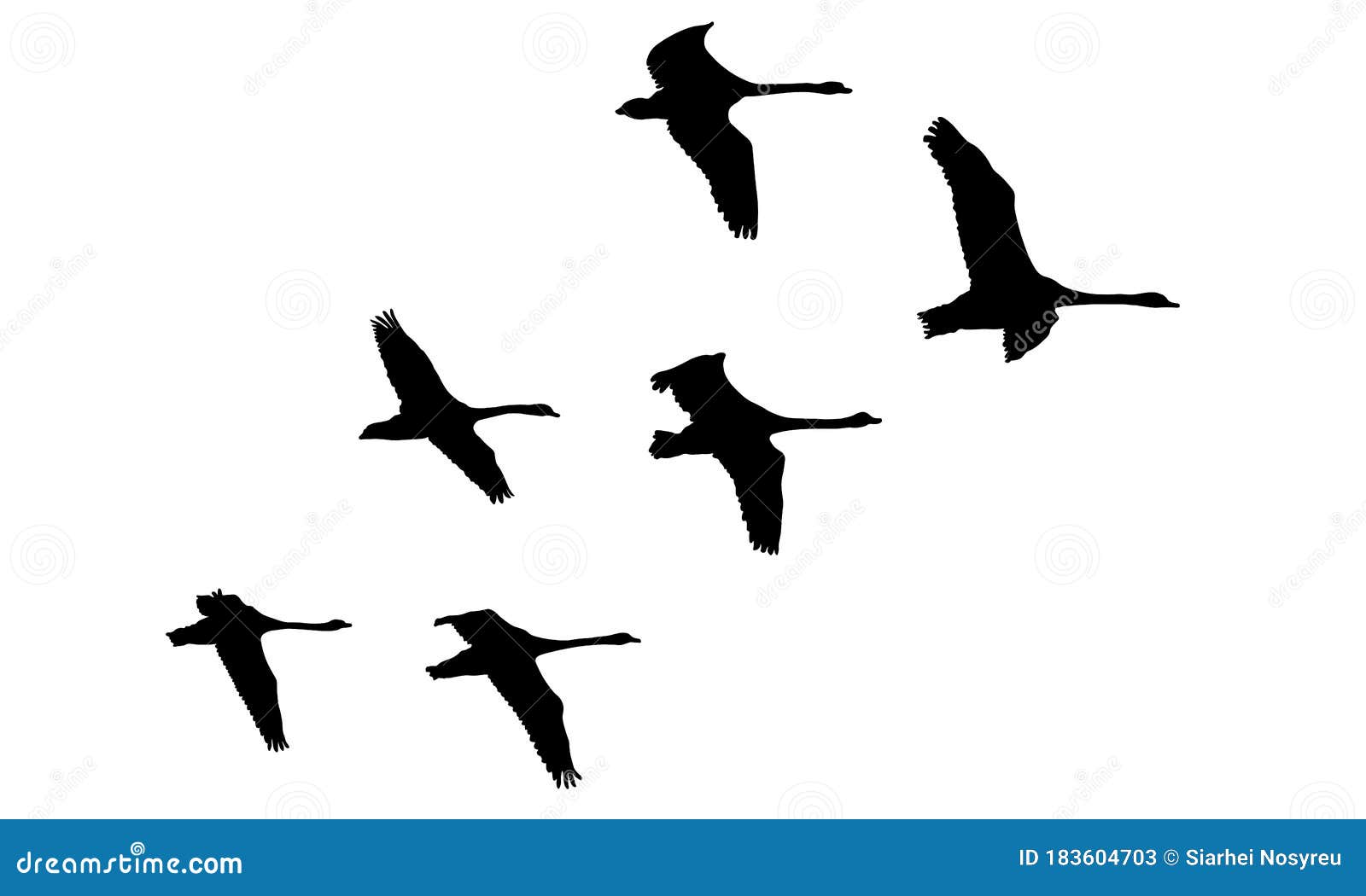 Flying Flock of Swans Birds, Silhouettes. Vector Illustration Stock ...