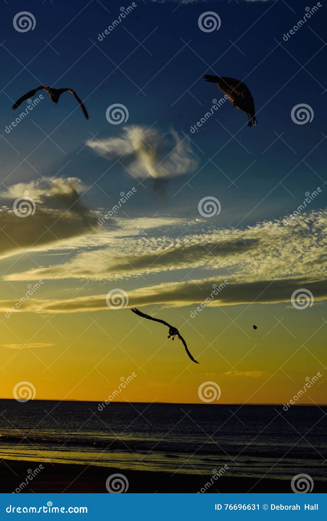 Cape Cod Free Clip Art Stock Photos - Free & Royalty-Free Stock Photos ...