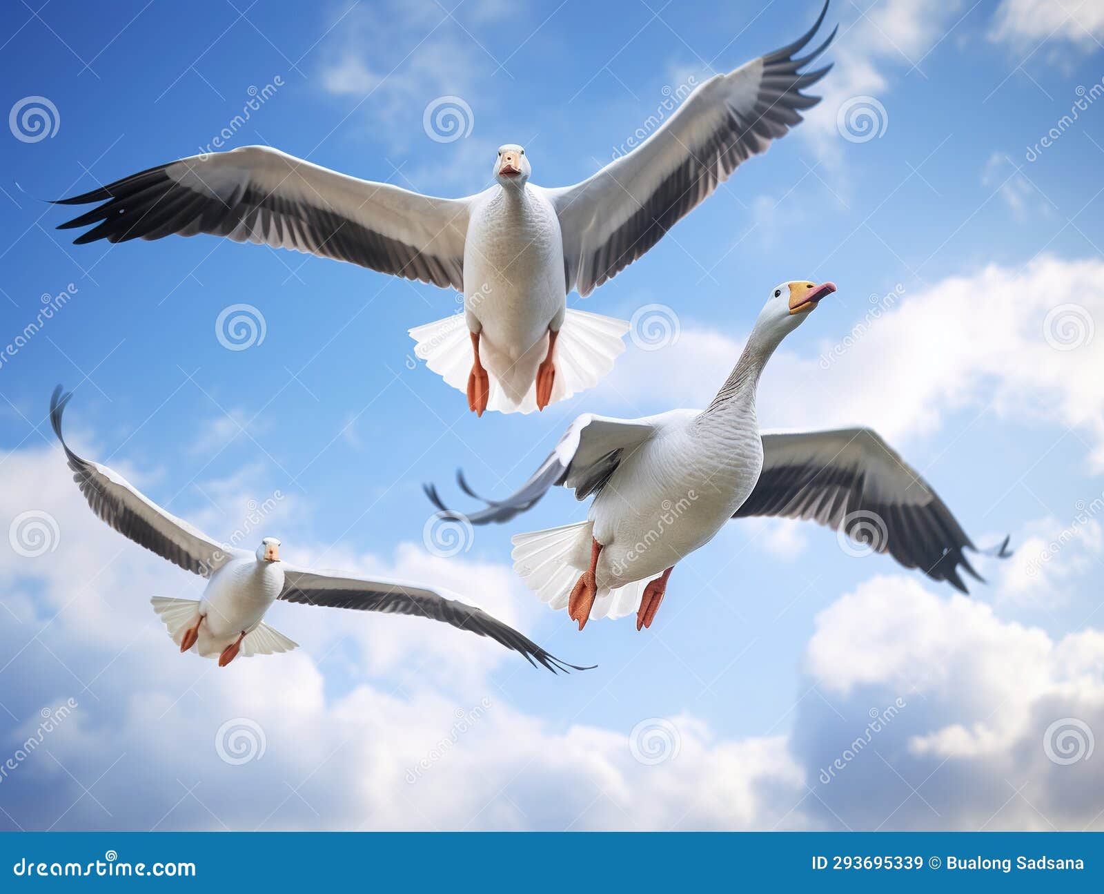 Ai Generated Illustration Wildlife Concept of Flying Geese Stock ...