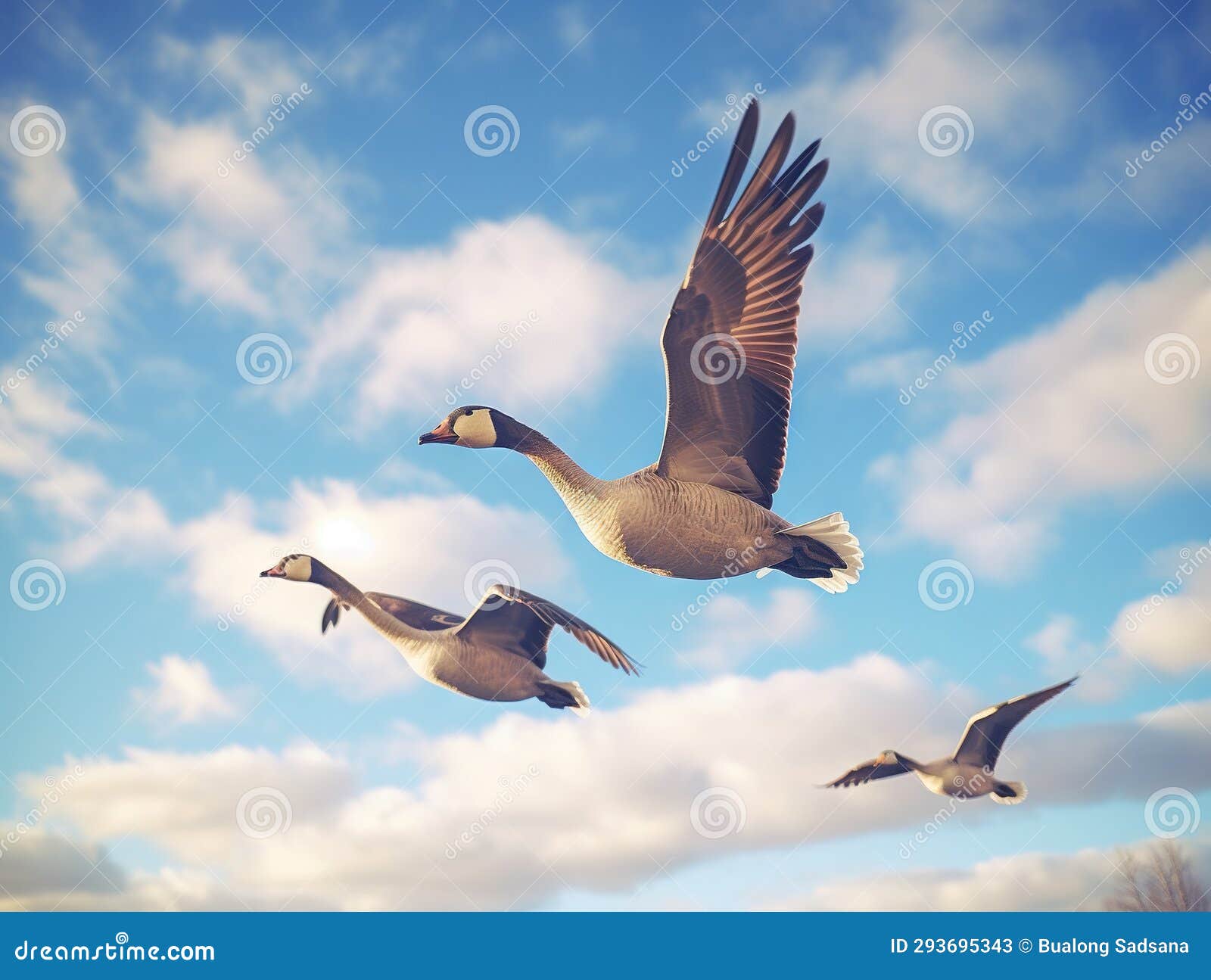 Ai Generated Illustration Wildlife Concept of Flying Geese Stock ...
