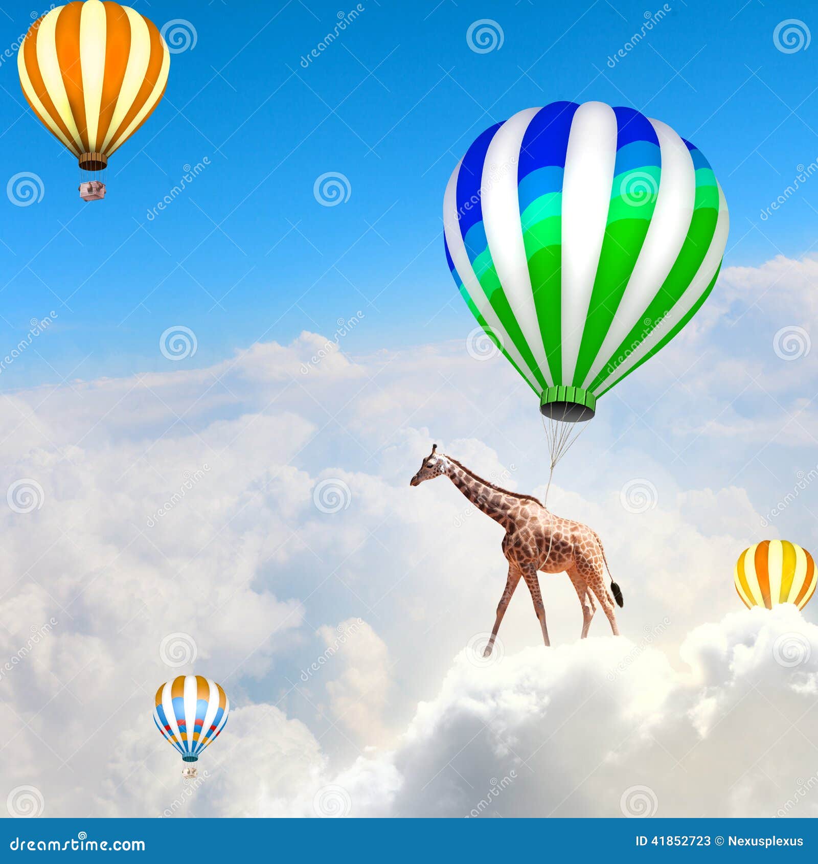 Flying giraffe stock image. Image of healthy, inspiration - 41852723