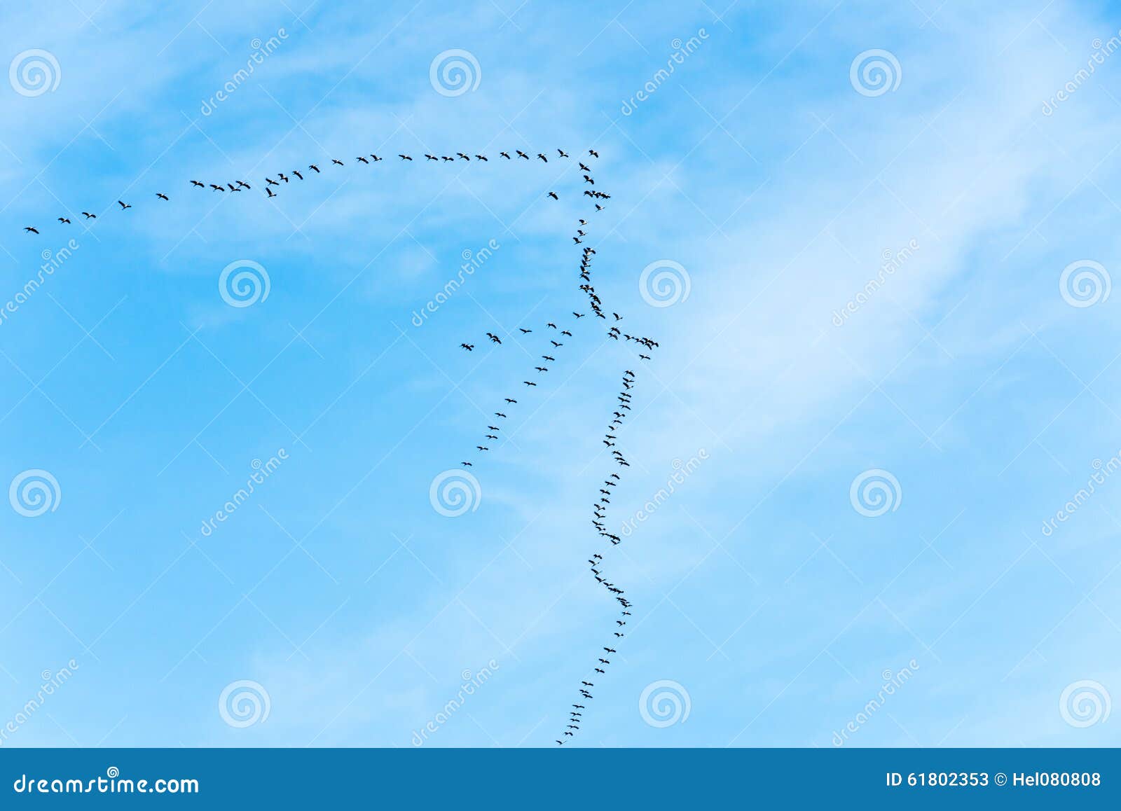 Flying Goose, Formation Flight Stock Image - Image of formation ...