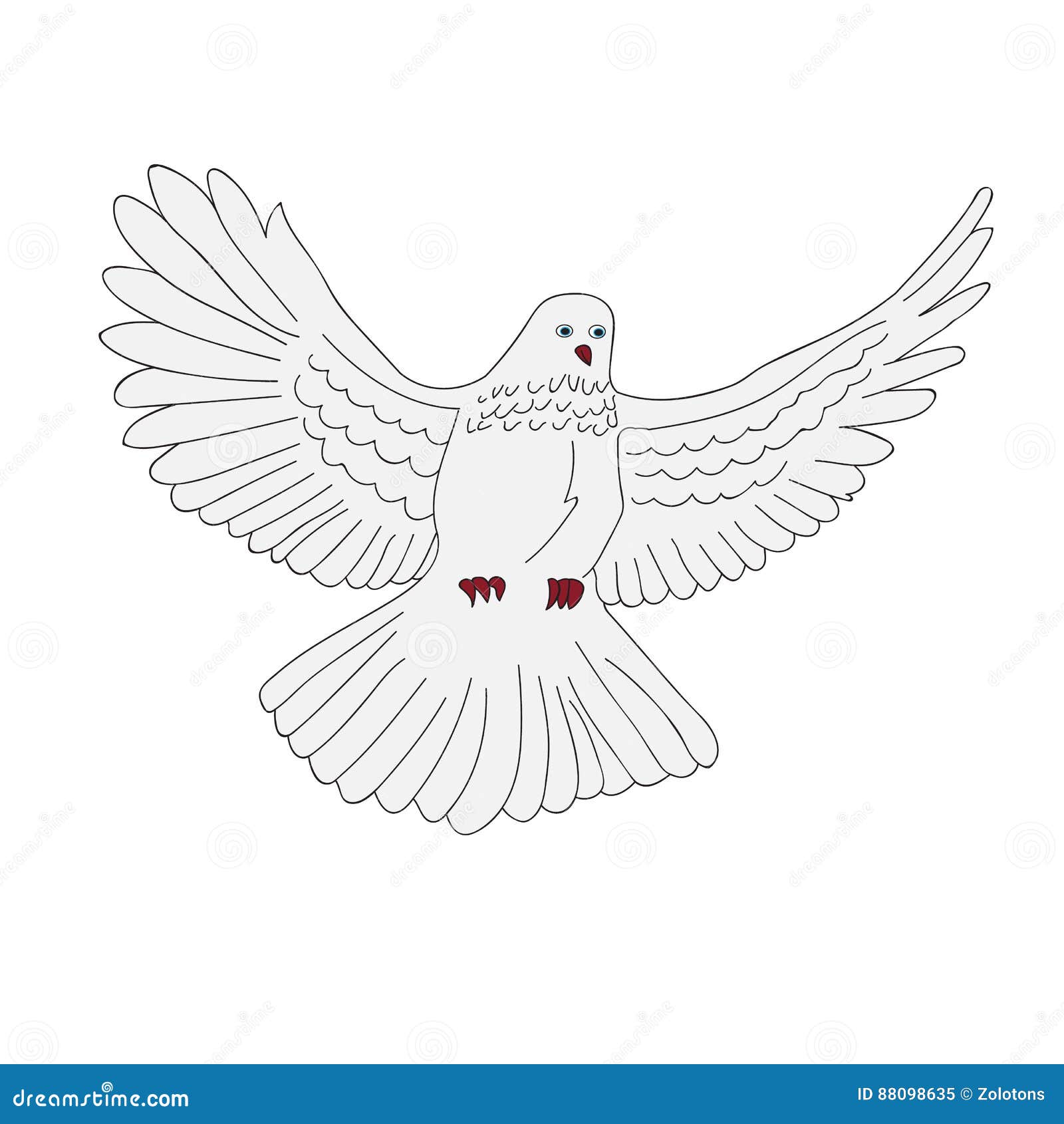 Gray Dove In Flying Action With Wide Open Wings, Front View. Fauna ...