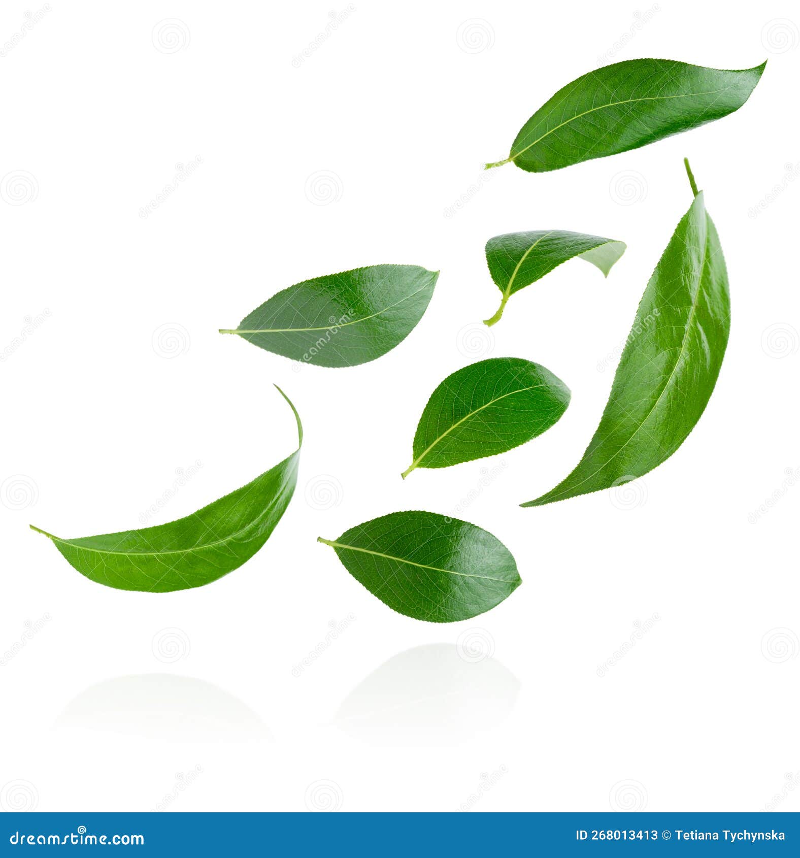 Flying Green Leaves Isolated on White Background with Clipping Path ...