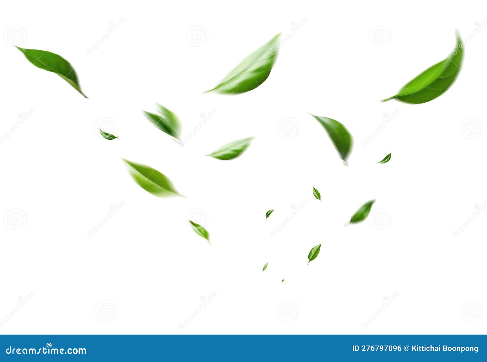 Flying Green Leaves on White Background. Fresh Spring Foliage Stock ...