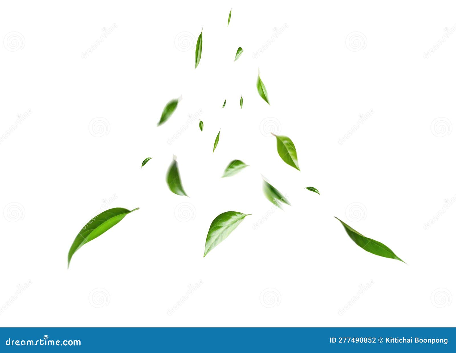 Flying Green Leaves on White Background. Fresh Spring Foliage Stock ...