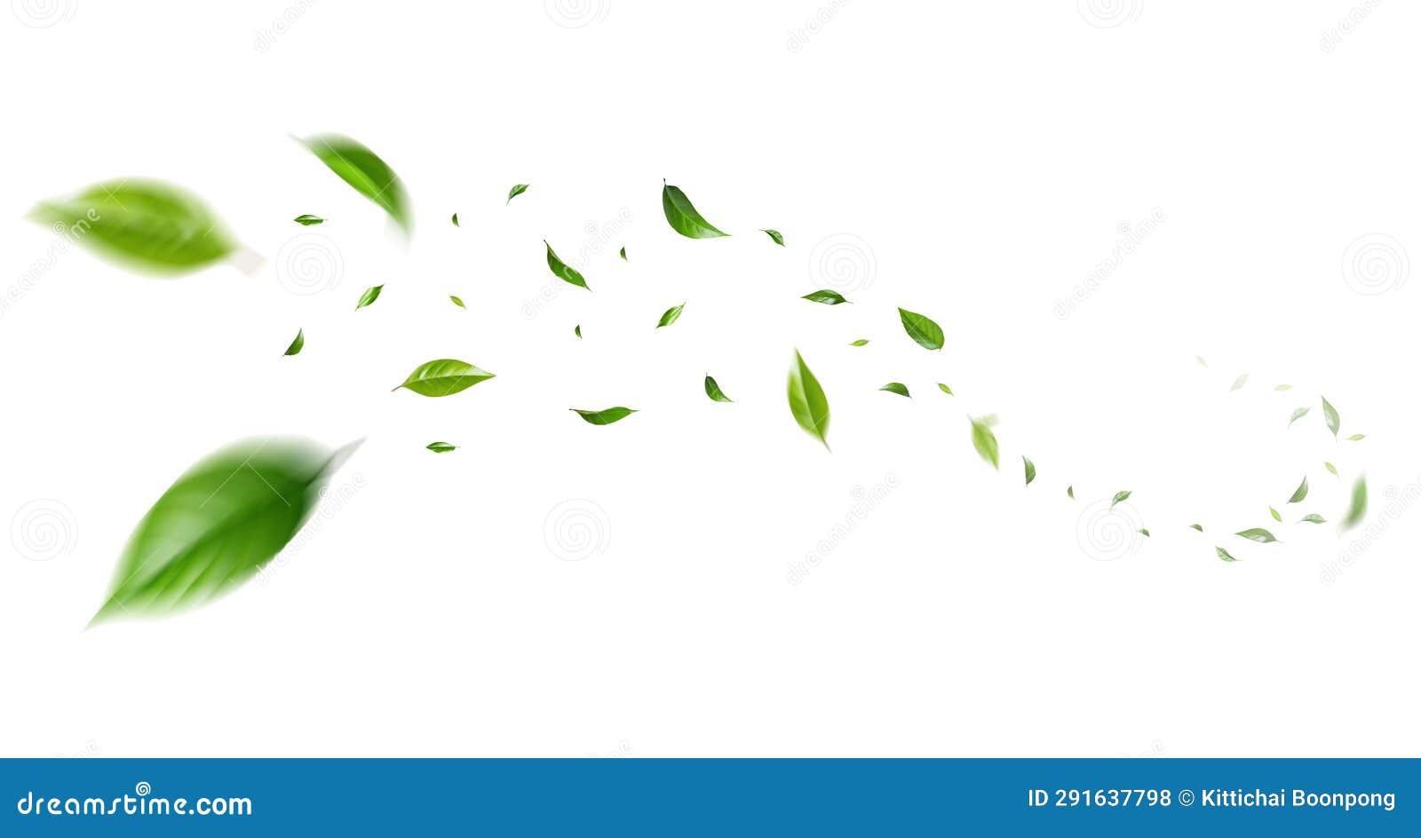Flying Green Leaves on White Background. Fresh Spring Foliage Stock ...