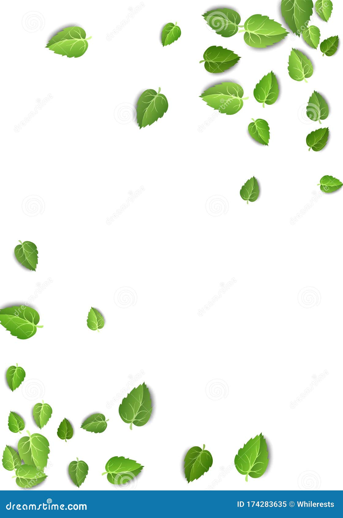 Flying Green Leaves on White Background. Spring Leaf Vertical Pattern ...