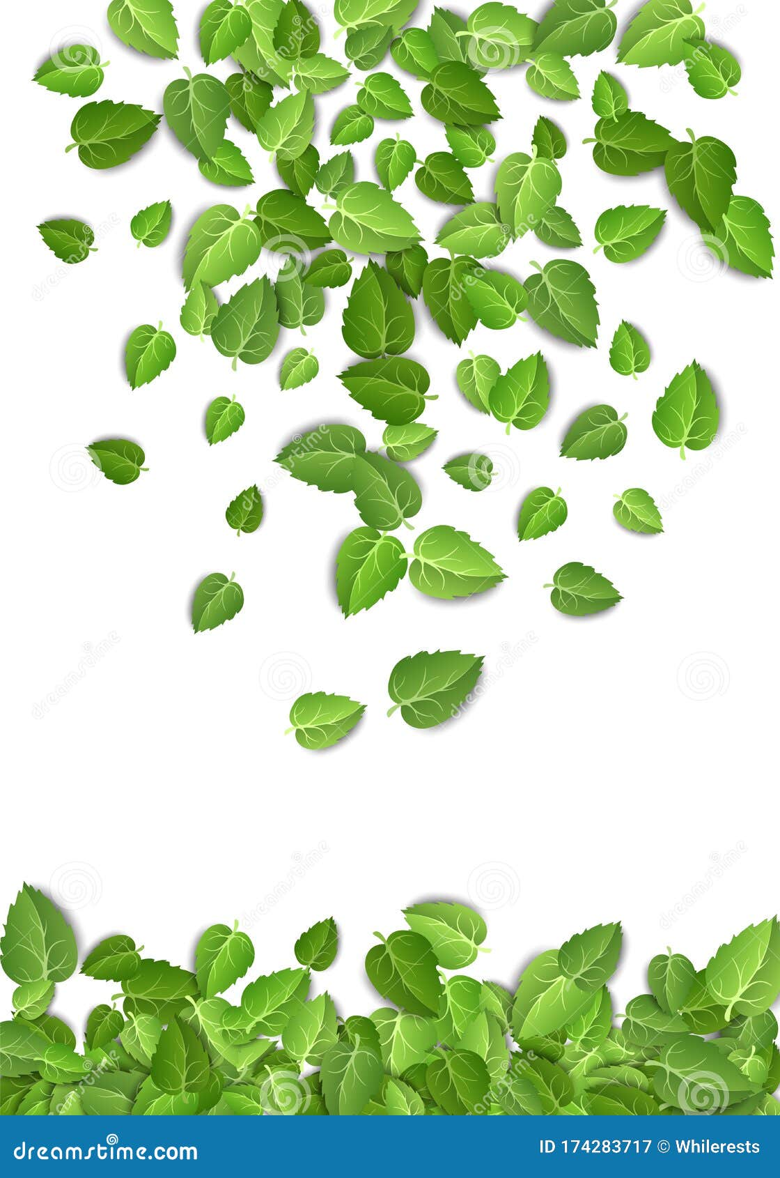 Flying Green Leaves on White Background. Spring Leaf Vertical Pattern ...