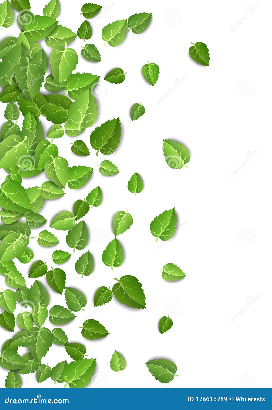 Flying Green Leaves on White Background. Spring Leaf Vertical Pattern ...
