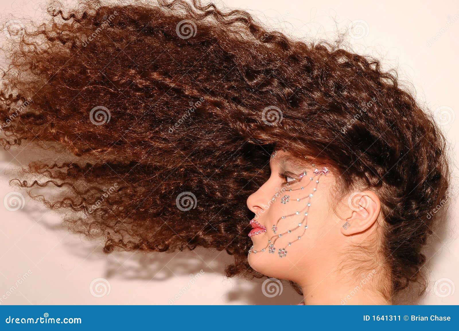 Flying Hair stock image. Image of attractive, glamour - 1641311