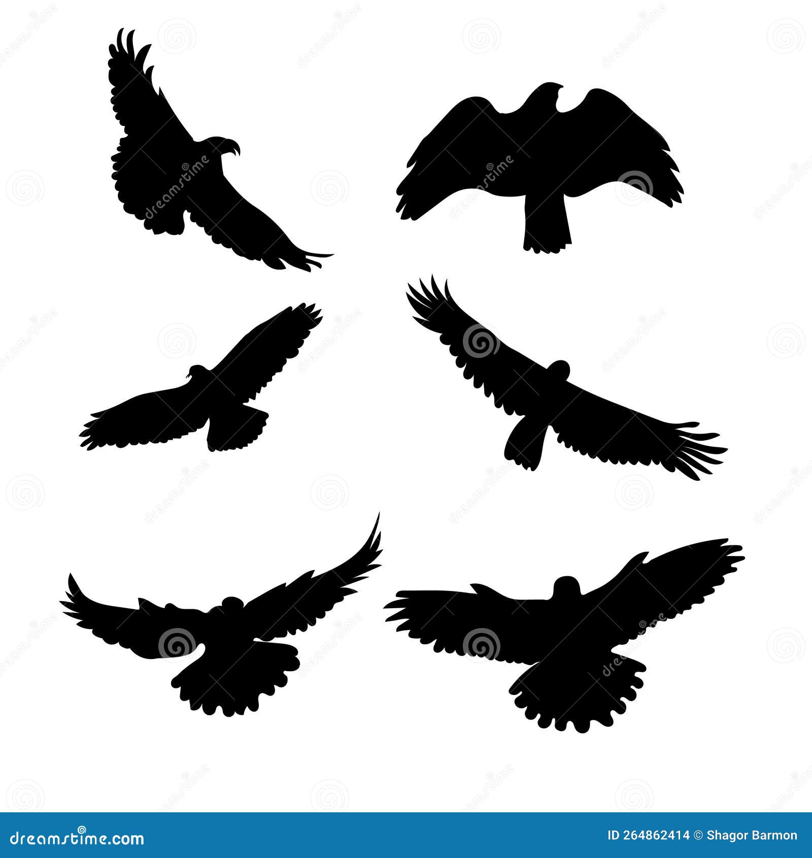 Flying Hawk Line Drawing Vector and Illustration Stock Vector ...