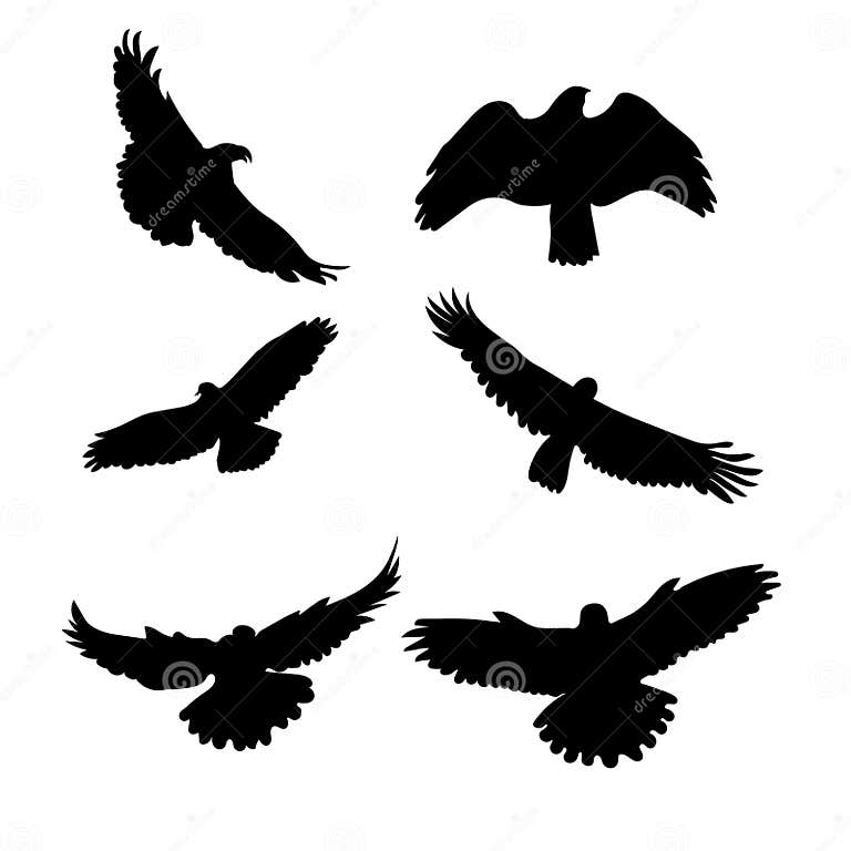 Flying Hawk Line Drawing Vector and Illustration Stock Vector ...
