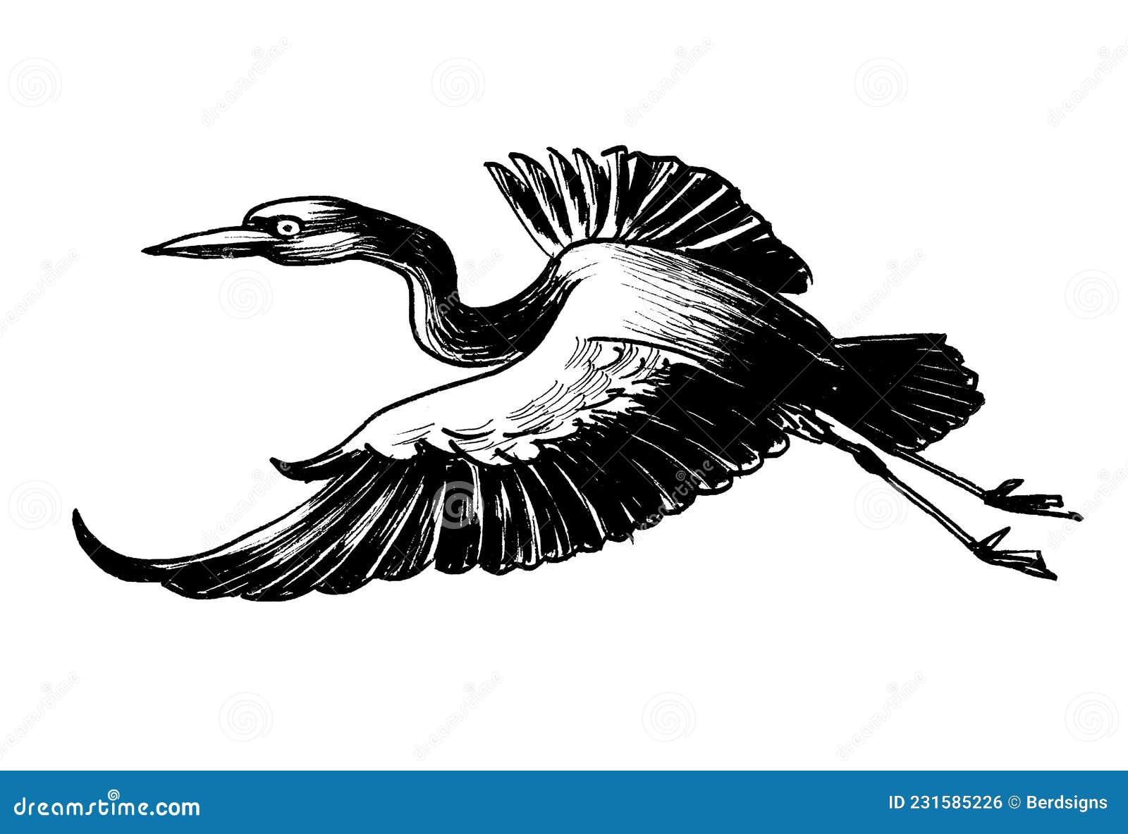 Flying heron bird stock illustration. Illustration of drawing - 231585226