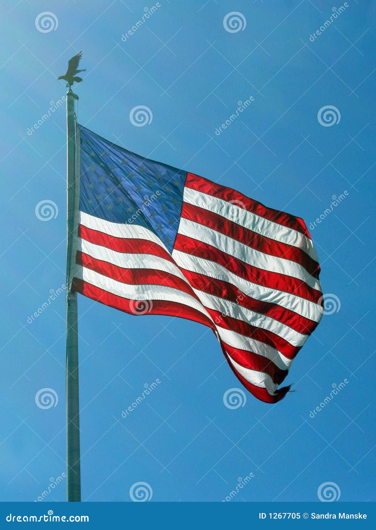 Flying High stock image. Image of symbol, identity, military - 1267705