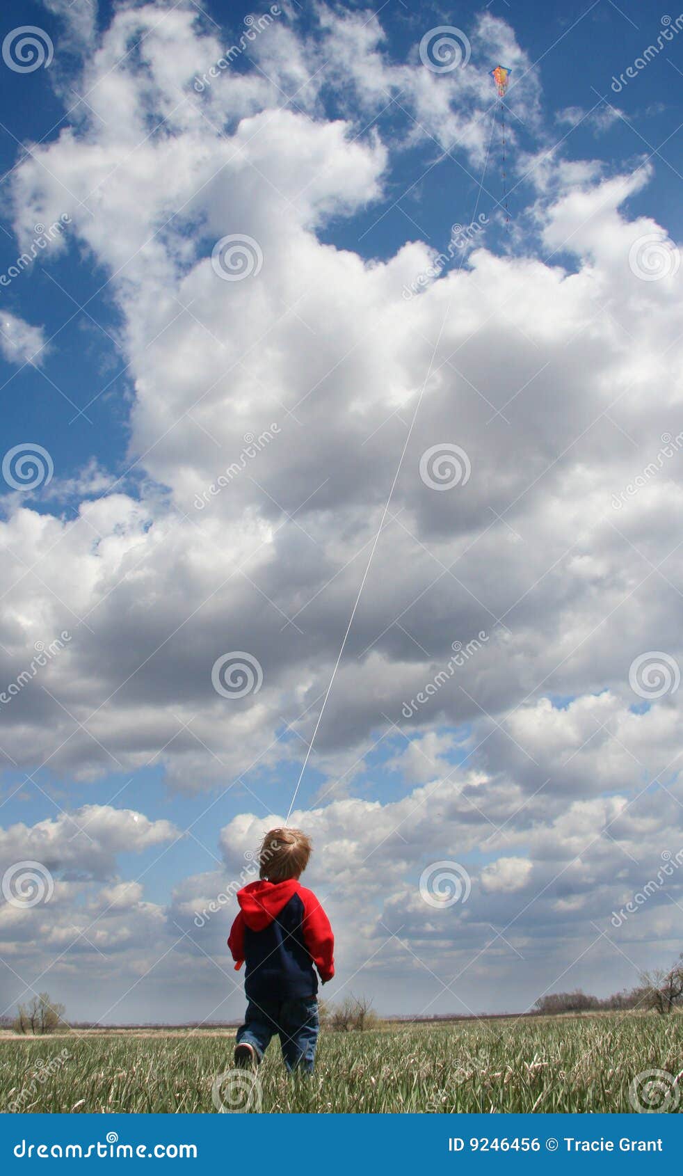Flying High stock photo. Image of flying, cloudscape, play - 9246456