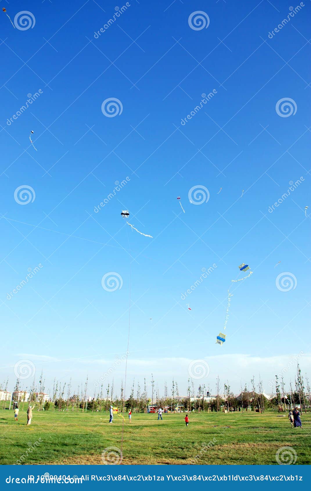 Flying kite area stock photo. Image of enjoying, high - 12099404