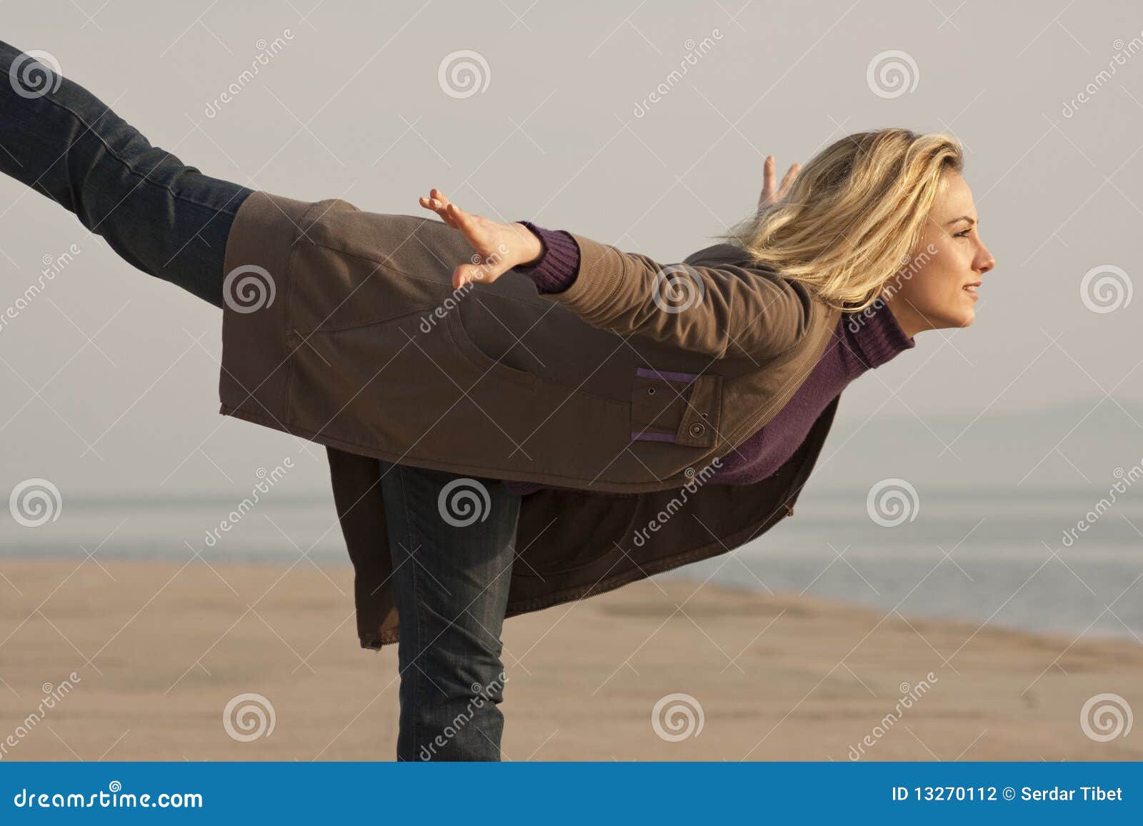 Flying lady stock photo. Image of chic, bird, pensive - 13270112