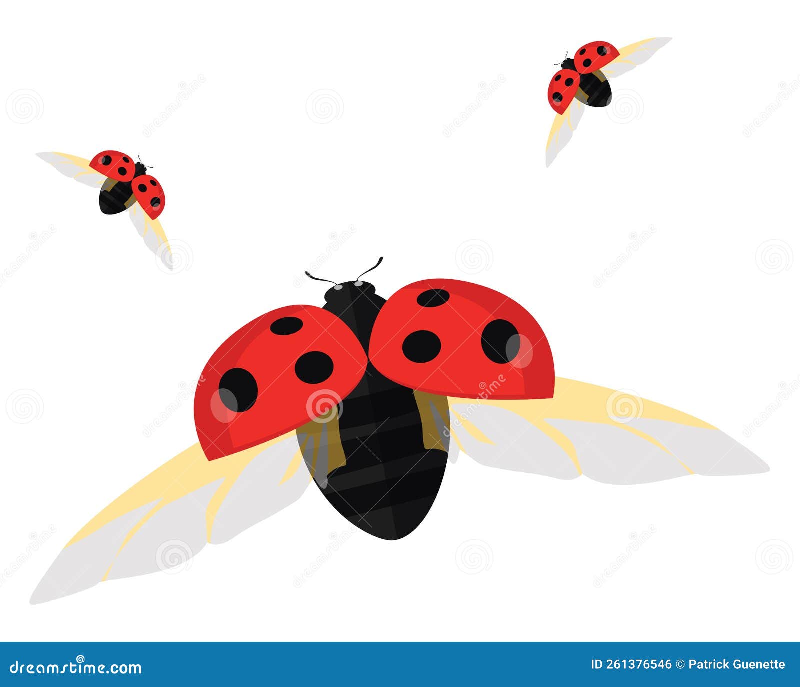 Flying lady bug, icon stock vector. Illustration of ladybug - 261376546