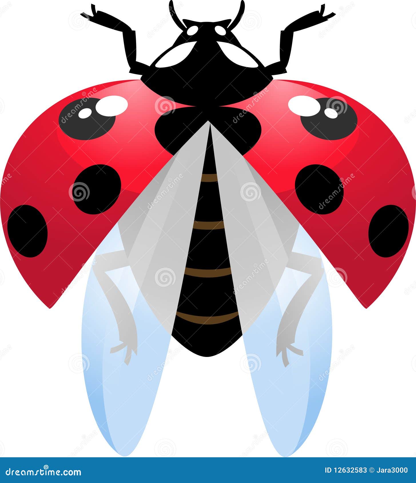 How To Draw A Ladybug Flying