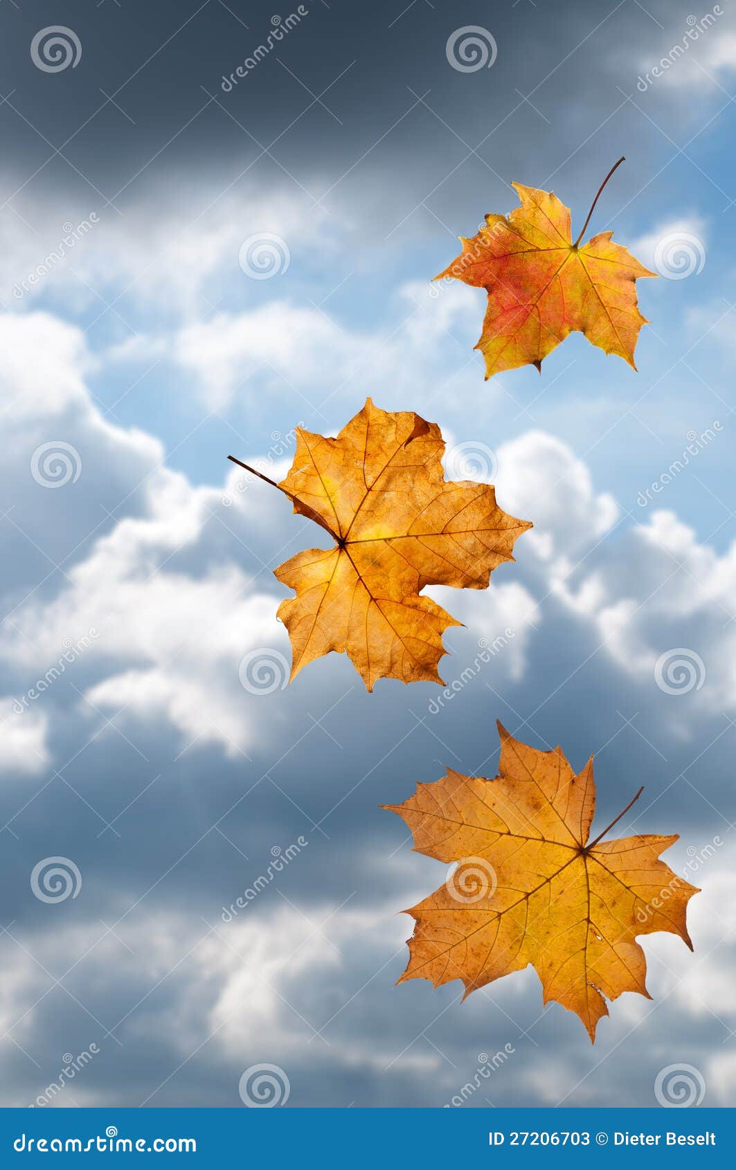 Flying leaves stock image. Image of symbolism, montage - 27206703