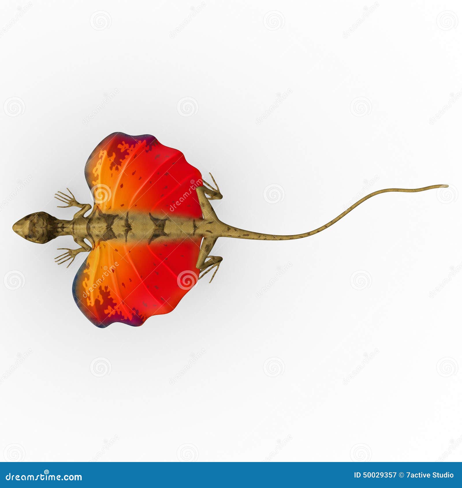 Flying Lizard stock illustration. Illustration of endemic - 50029357