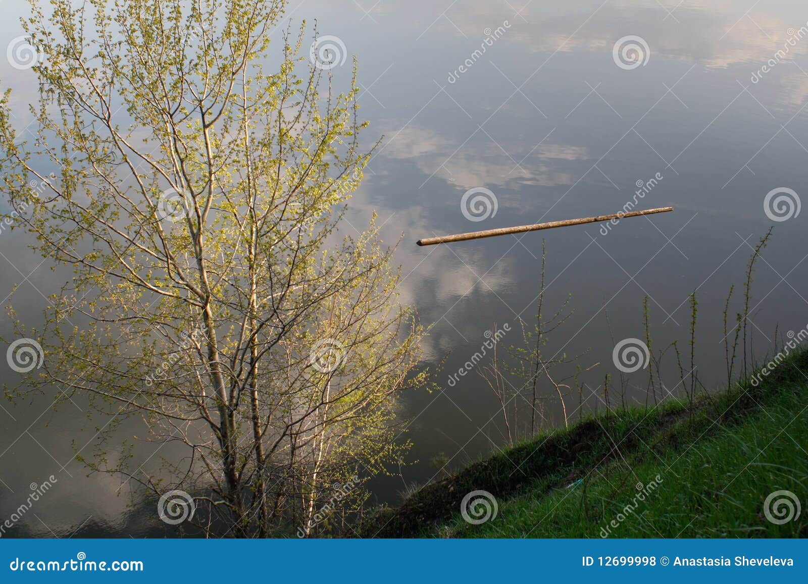 Flying log stock photo. Image of river, water, grass - 12699998
