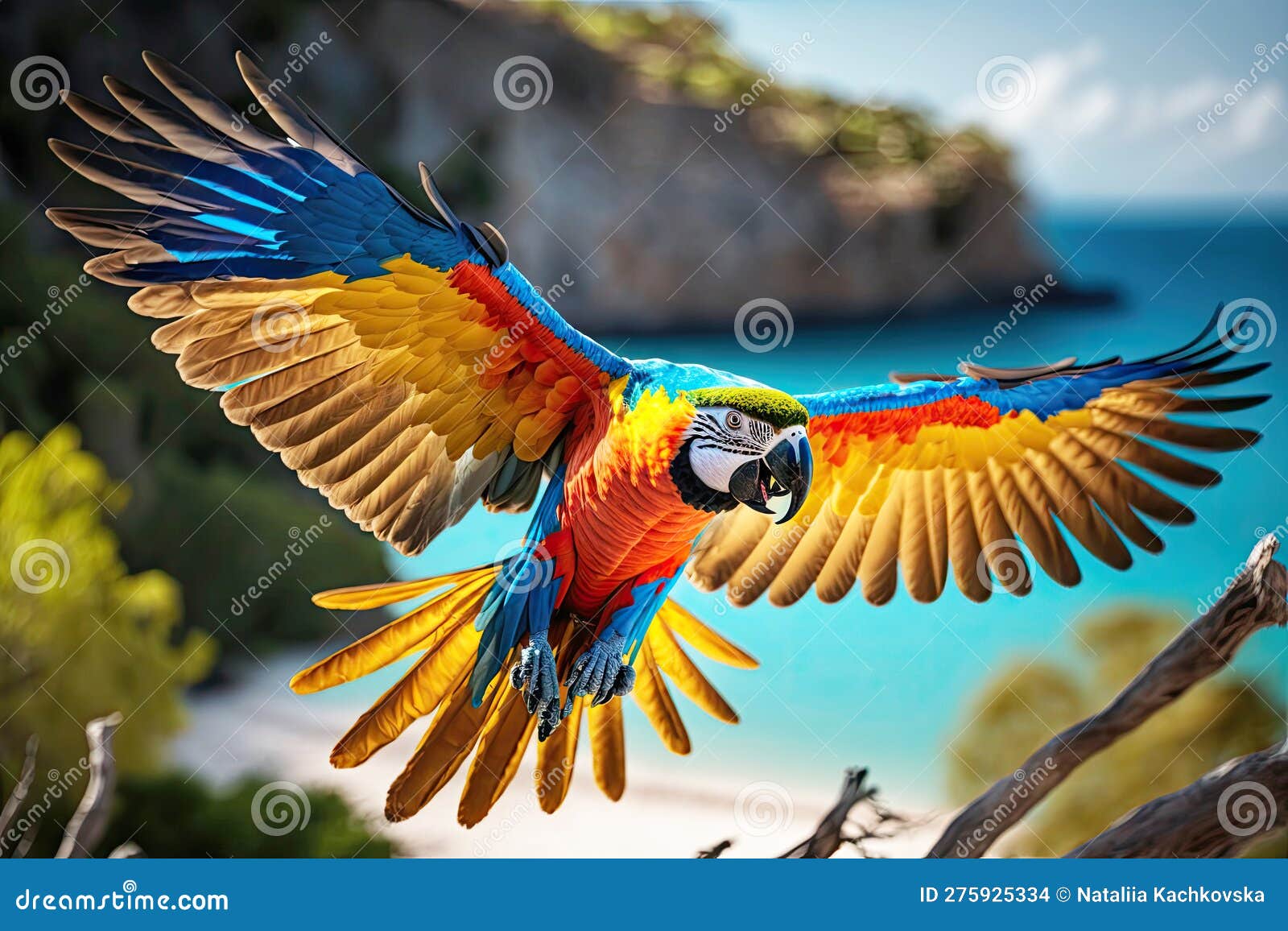 Flying Macaw Vector Illustration | CartoonDealer.com #67942748