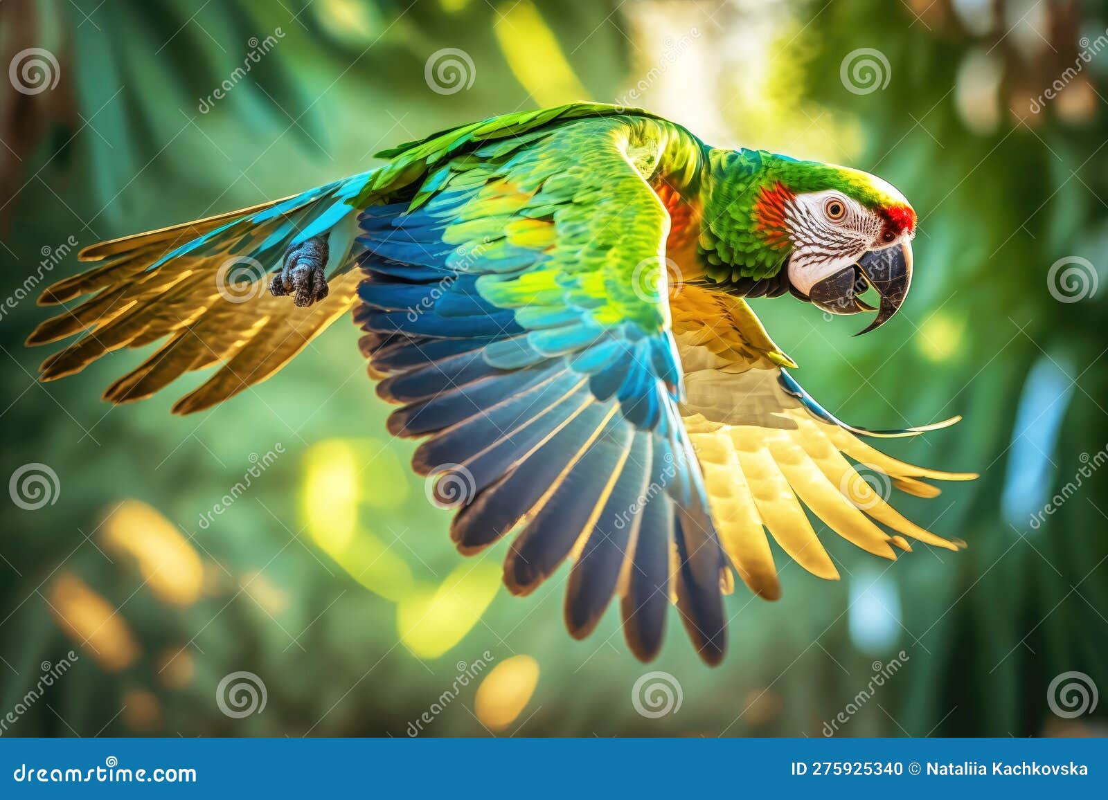 Flying Macaw Vector Illustration | CartoonDealer.com #67942748