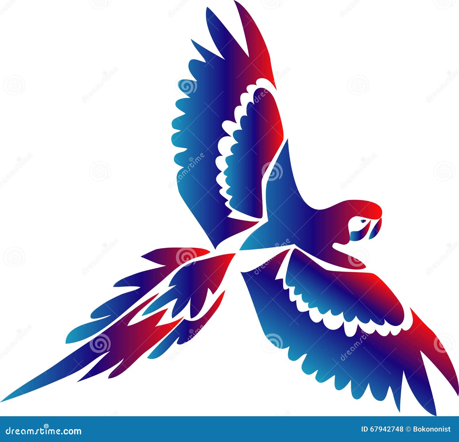 Flying Macaw Vector Illustration | CartoonDealer.com #67942748