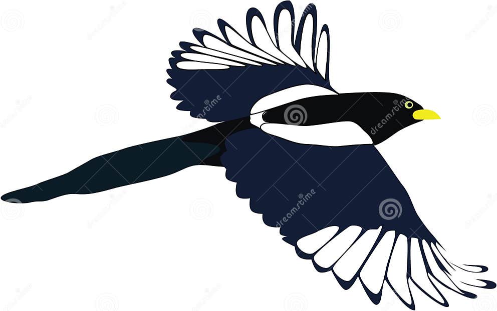Flying Magpie Cartoon Vector Stock Vector - Illustration of flying ...