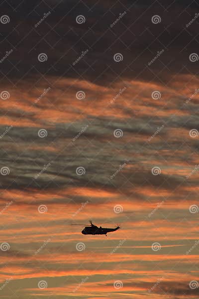 Flying off into the sunset stock photo. Image of flying - 7412554