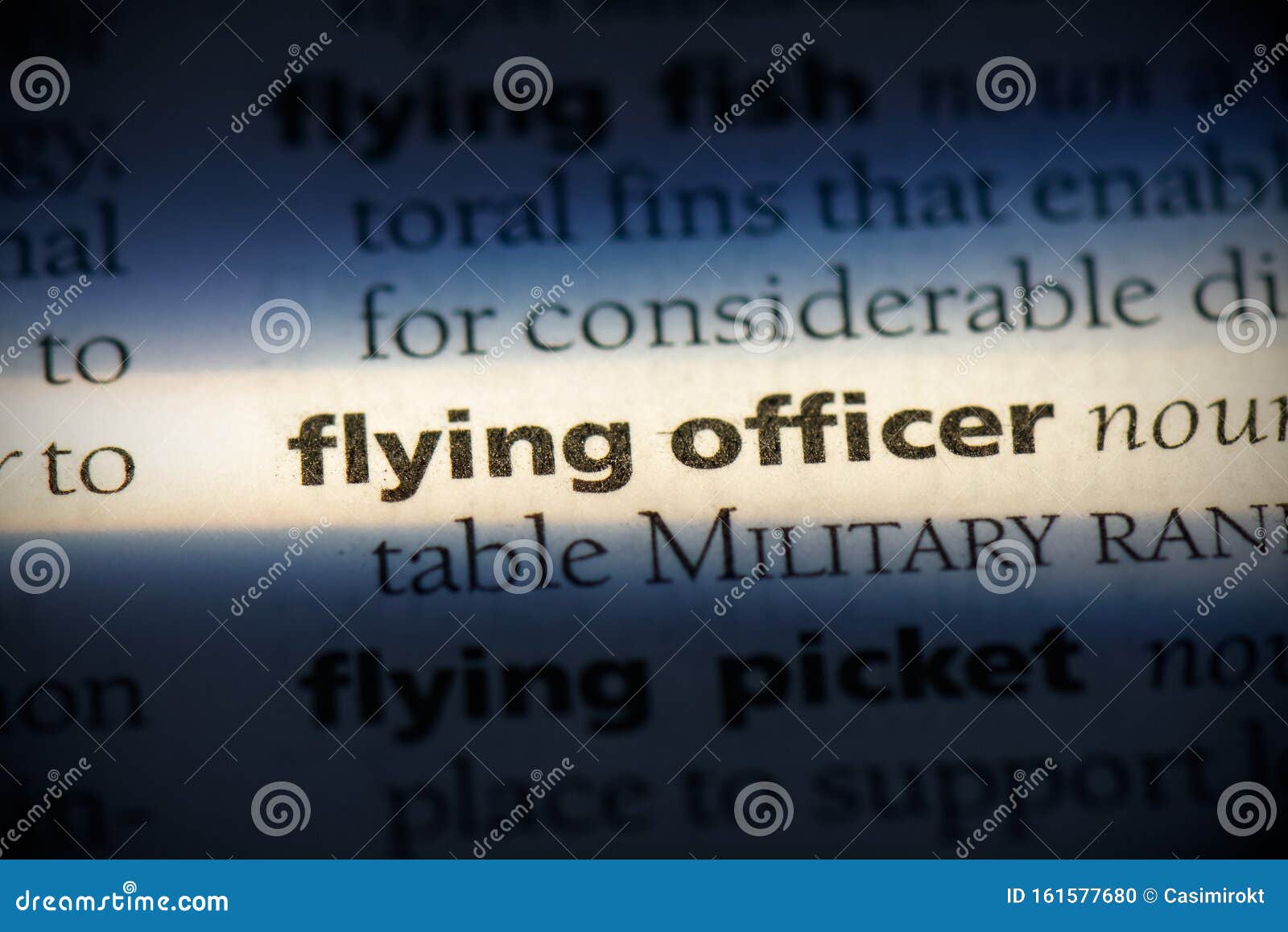 Flying officer stock photo. Image of linguistic, close - 161577680