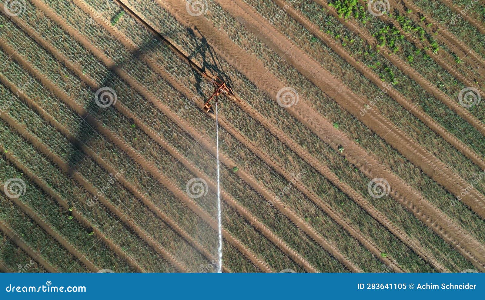Flying Over a Field Irrigation with a Water Jet and Its Shadow in the ...