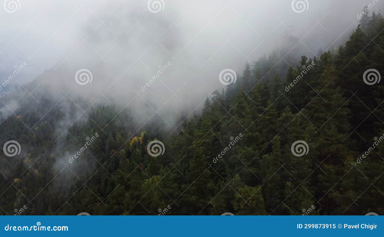 Flying Over the Forest in the Mountains with Floating Fog Stock Image ...