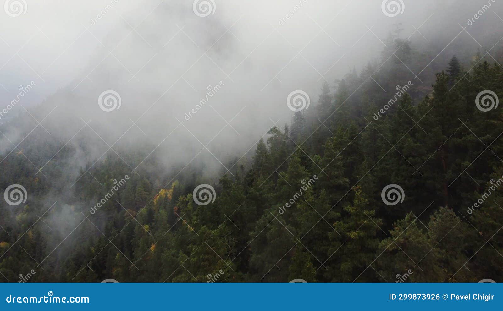 Flying Over the Forest in the Mountains with Floating Fog Stock Photo ...